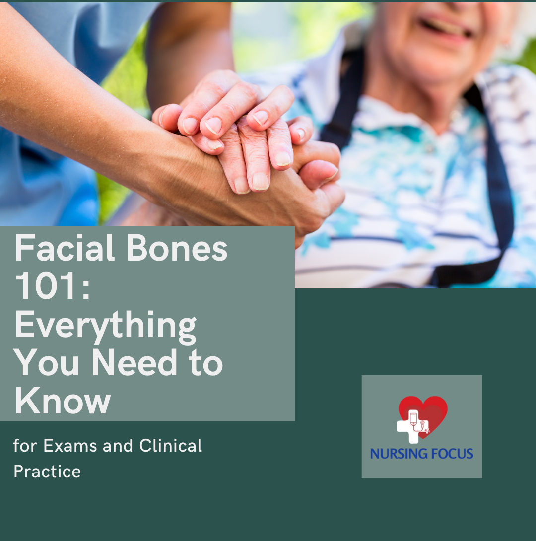 Facial Bones 101: Everything You Need to Know for Exams and Clinical P ...