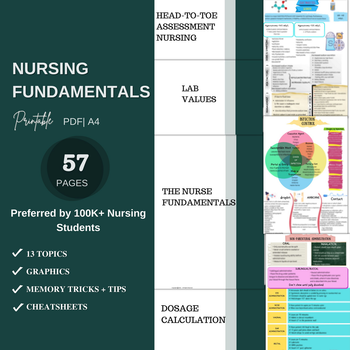 The Ultimate Nursing School Bundle | Nursing School & NCLEX Study Guid ...