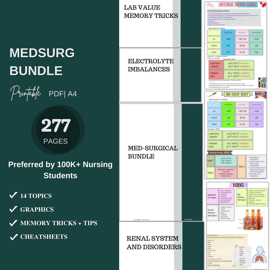 The Ultimate Nursing School Bundle | Nursing School & NCLEX Study Guid ...