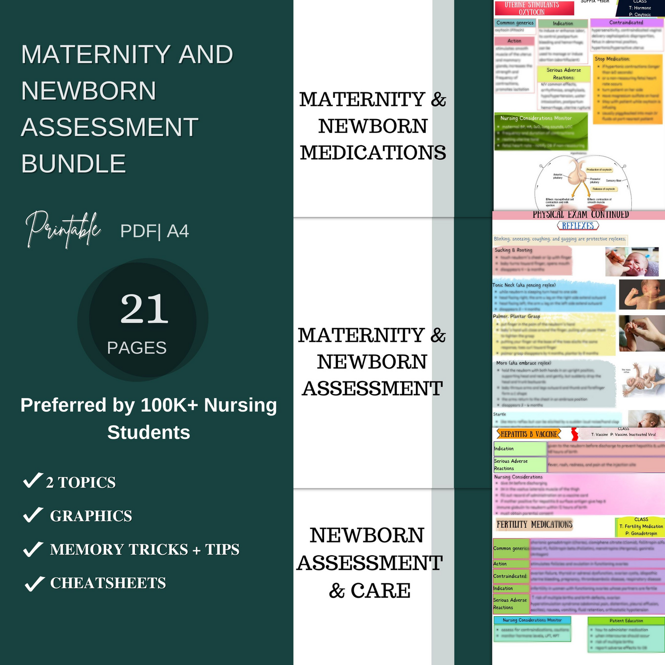 The Ultimate Nursing School Bundle | Nursing School & NCLEX Study Guid ...